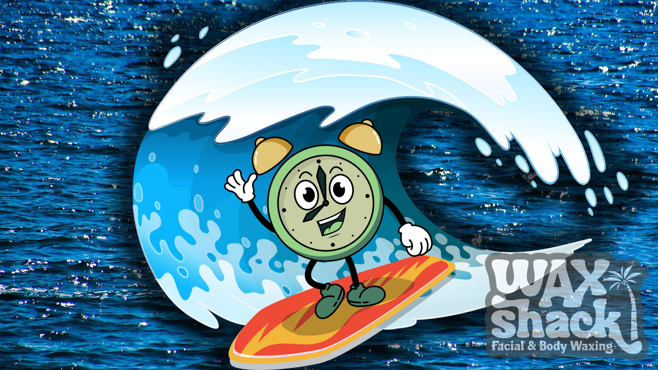 Wax Shack | Facial & Body Waxing for Men & Women | Book Now!